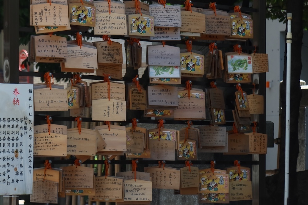 宝くじ当選祈願者の聖地・椙森神社へ行きました: 建築家石川淳の住宅デザイン実例と日常報告